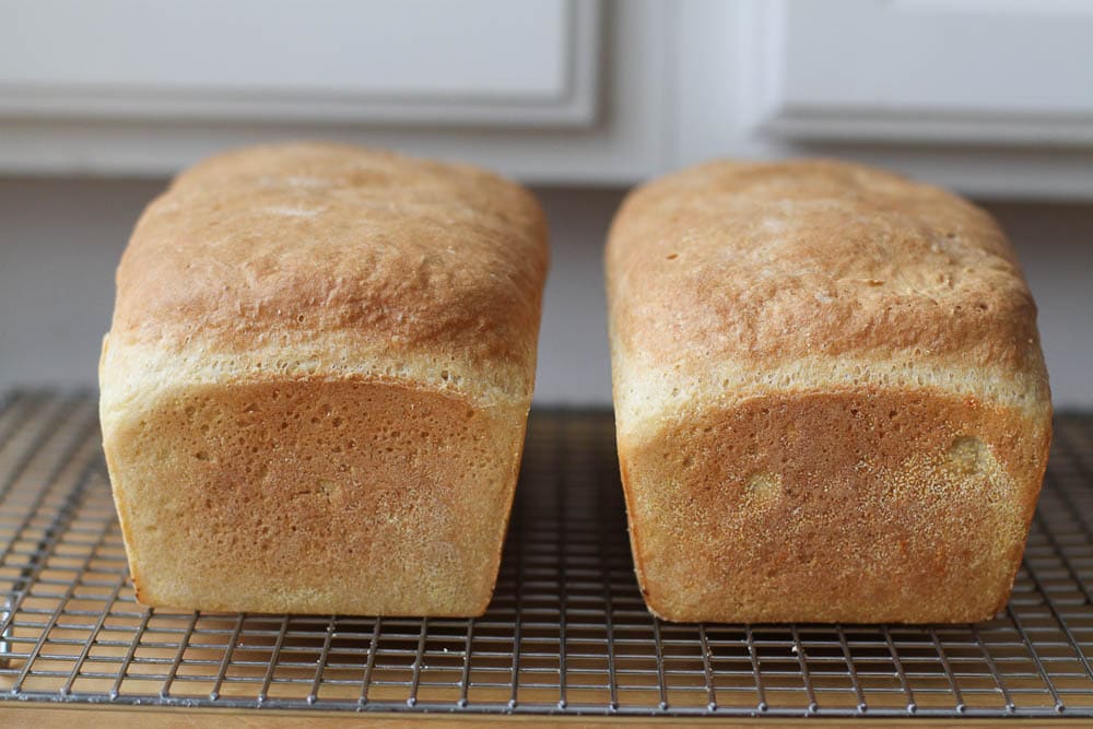 English Muffin Bread (aka a very, very easy bread recipe) - The Frugal Girl