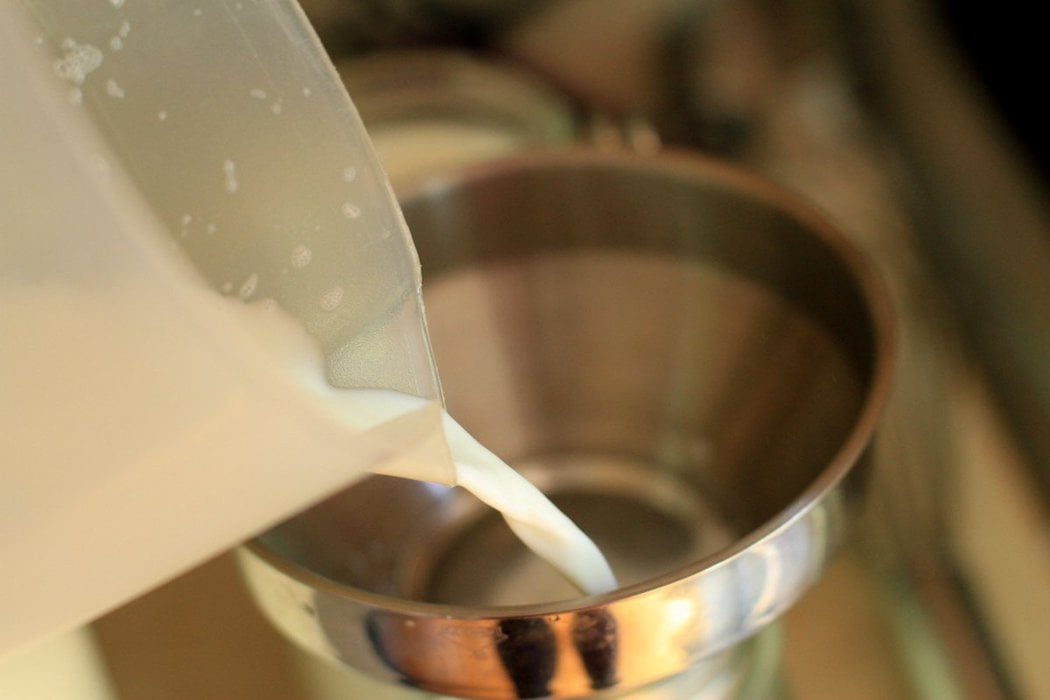 How To Make Homemade Yogurt - The Frugal Girl