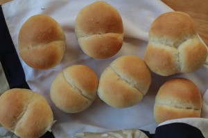 Wednesday Baking | Cornmeal Buns - The Frugal Girl