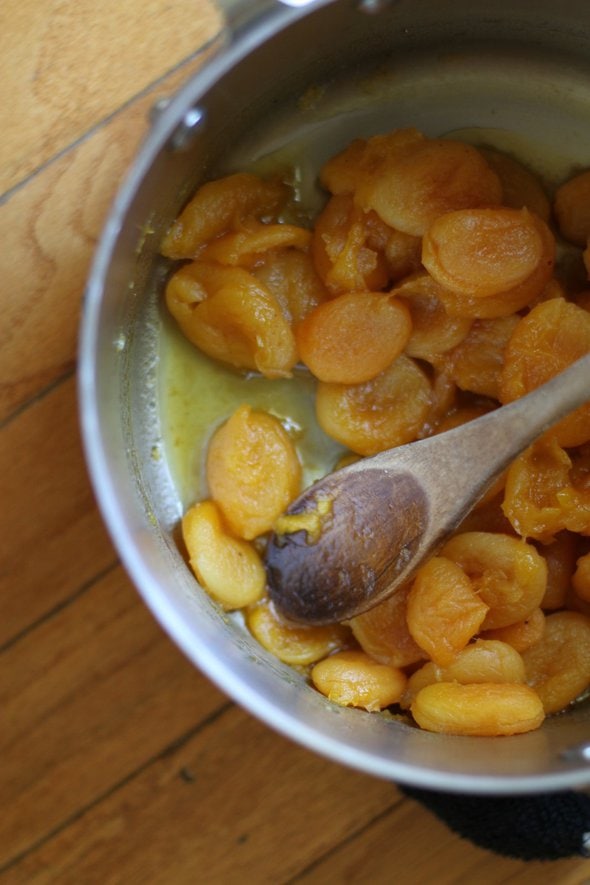 Grandma's Homemade Cinnamon (or Apricot) Sweet Rolls - The Frugal Girl