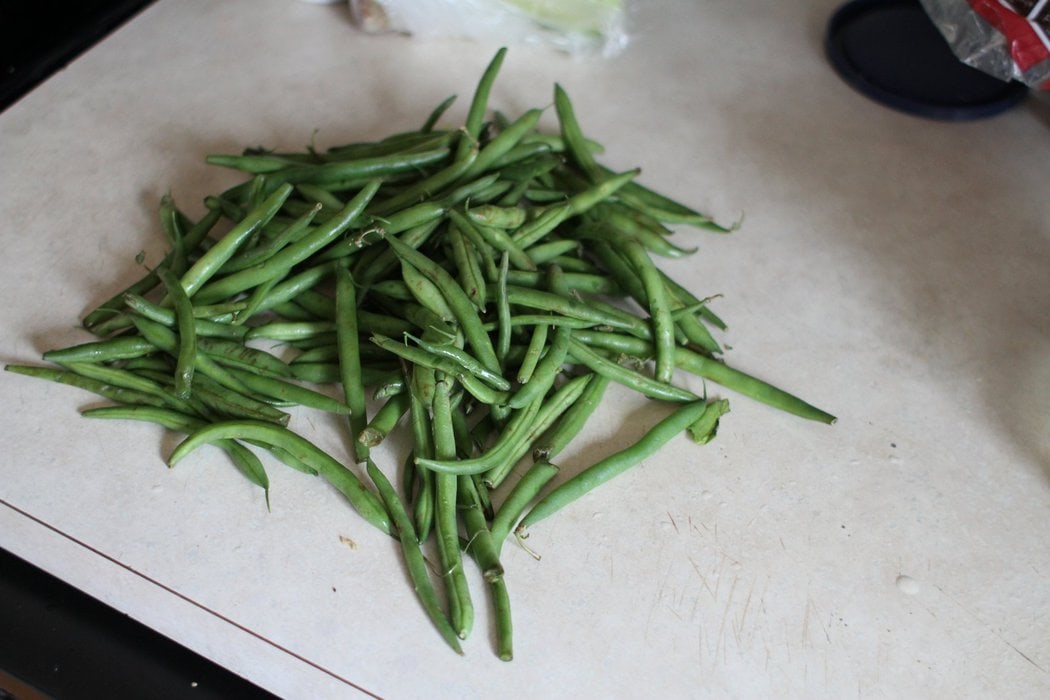 In which I waste copious amounts of food. - The Frugal Girl