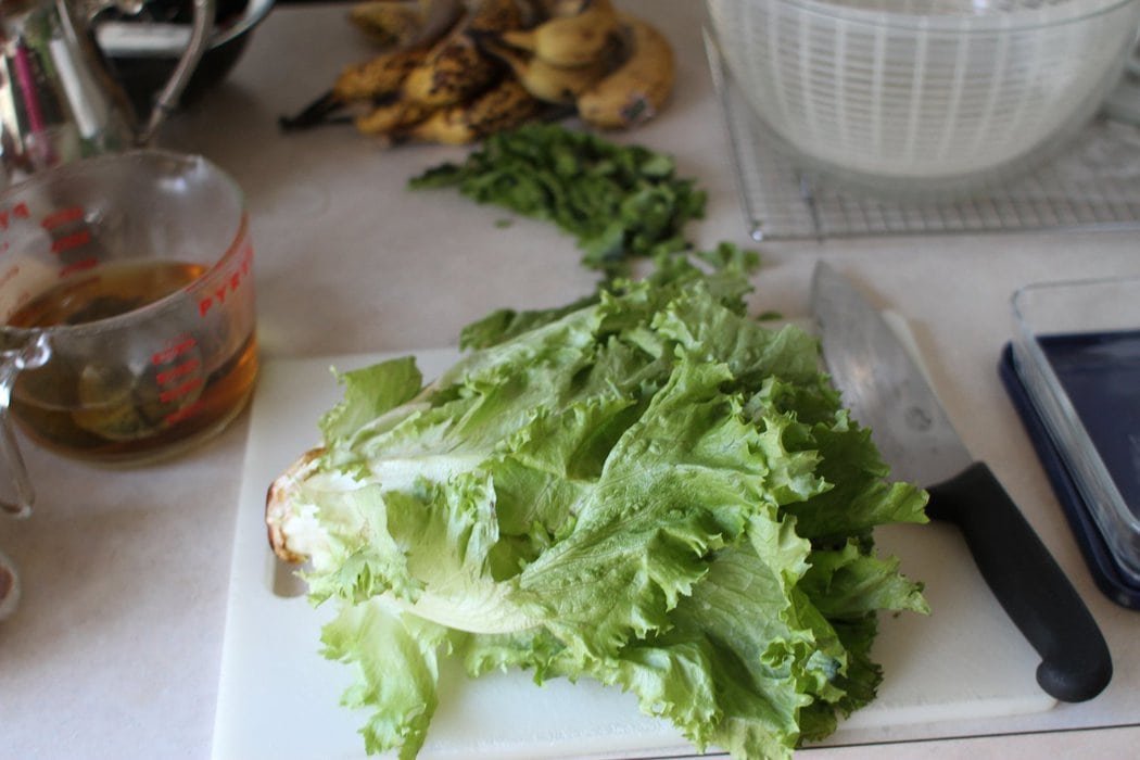 In which I waste copious amounts of food. - The Frugal Girl