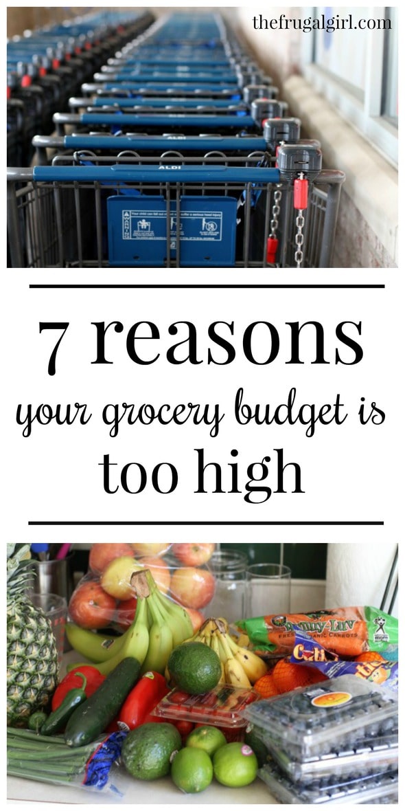 7 Reasons Your Grocery Bill is Too High - The Frugal Girl