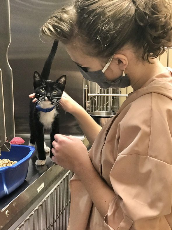 WIS, WWA | Plus Sonia & Kitten Photos - The Frugal Girl