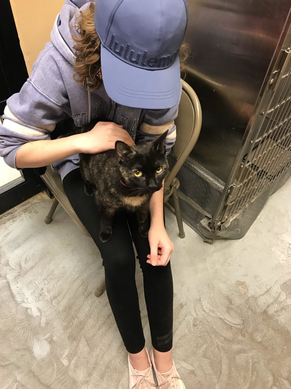 WIS, WWA | the end of a streak - The Frugal Girl