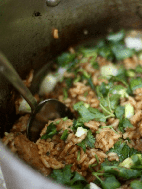 Spicy Pork Tinga and Rice Story - The Frugal Girl