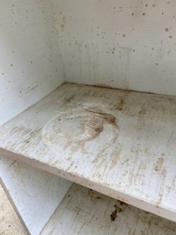 Trash to treasure: a bookshelf with legs! - The Frugal Girl