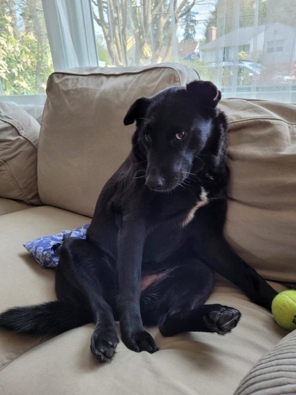 Meet a Reader | Kelly from Seattle (and France) - The Frugal Girl