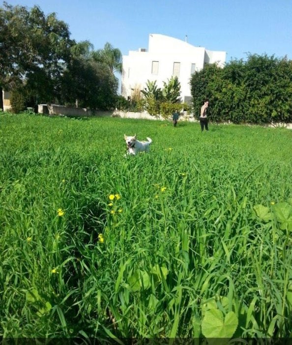 Meet a Reader | Talia from Israel - The Frugal Girl