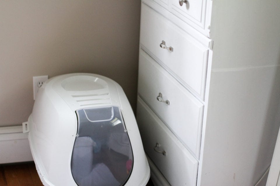 Thankful Thursday | so much litter mess! - The Frugal Girl