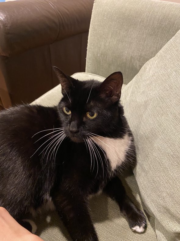 The Frugal Girl - Page 3 of 267 - cheerfully living on less