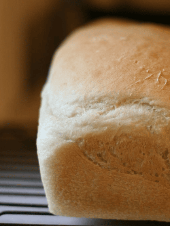 Potato Bread Story - The Frugal Girl