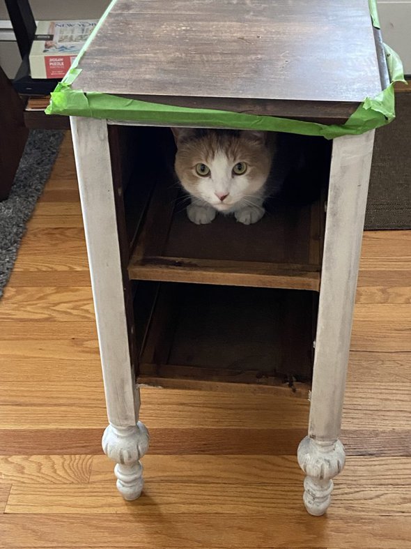 The scuffed table (at long last!!!) - The Frugal Girl