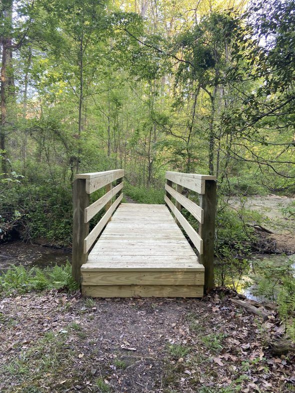 Thankful Thursday | windows open! - The Frugal Girl