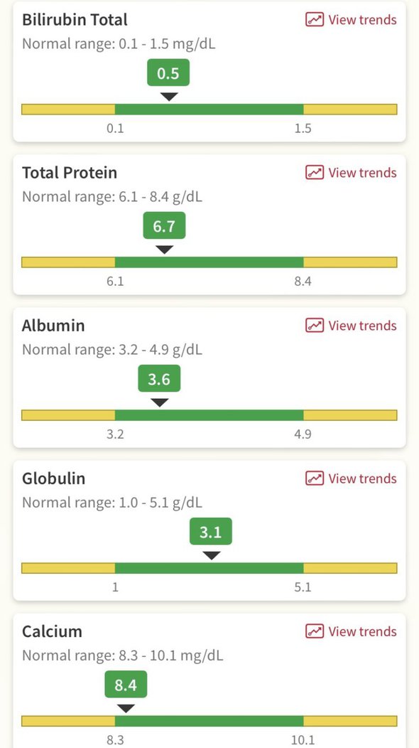 Thankful Thursday | windows open! - The Frugal Girl