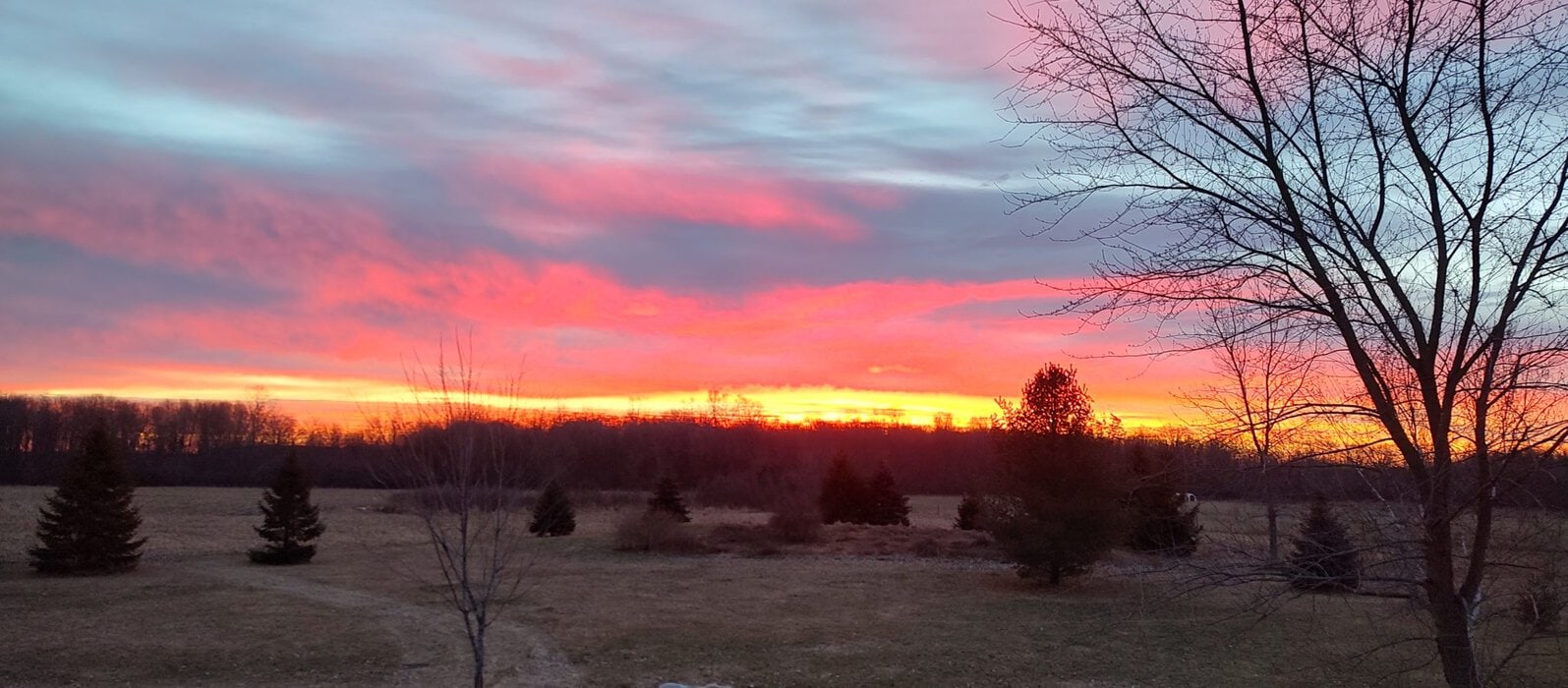 Meet a Reader | Kris from Michigan - The Frugal Girl